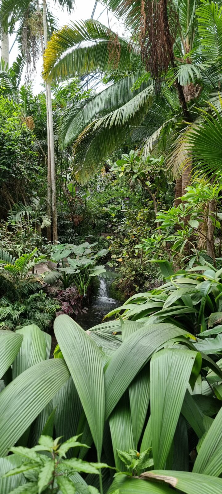 Eden Project: Discovering Nature's Wonders