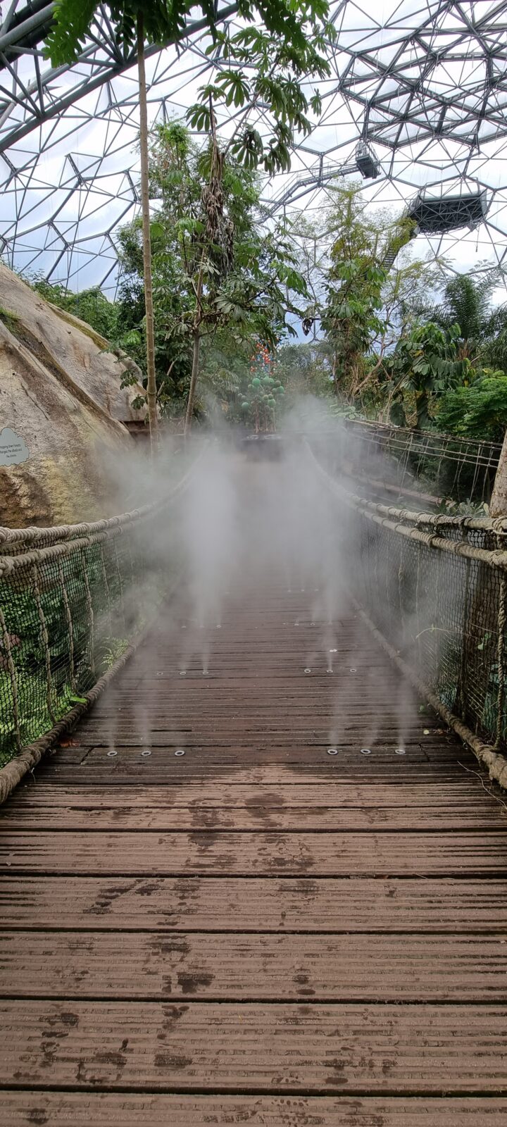 Eden Project: Discovering Nature's Wonders