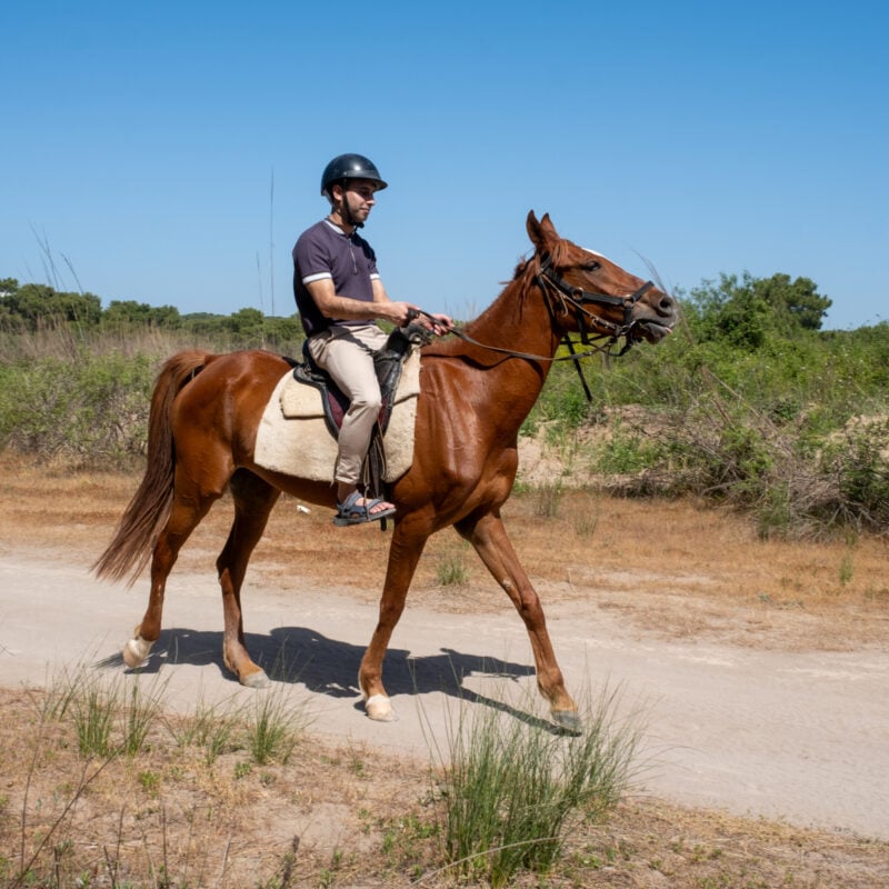 Adil Musa | Food, Lifestyle & Travel Blog