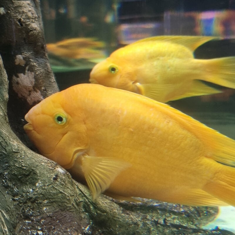 Adil Musa | Food, Lifestyle & Travel Blog